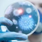 Testmol – Salvando vidas a traves de una diagnóstico seguro