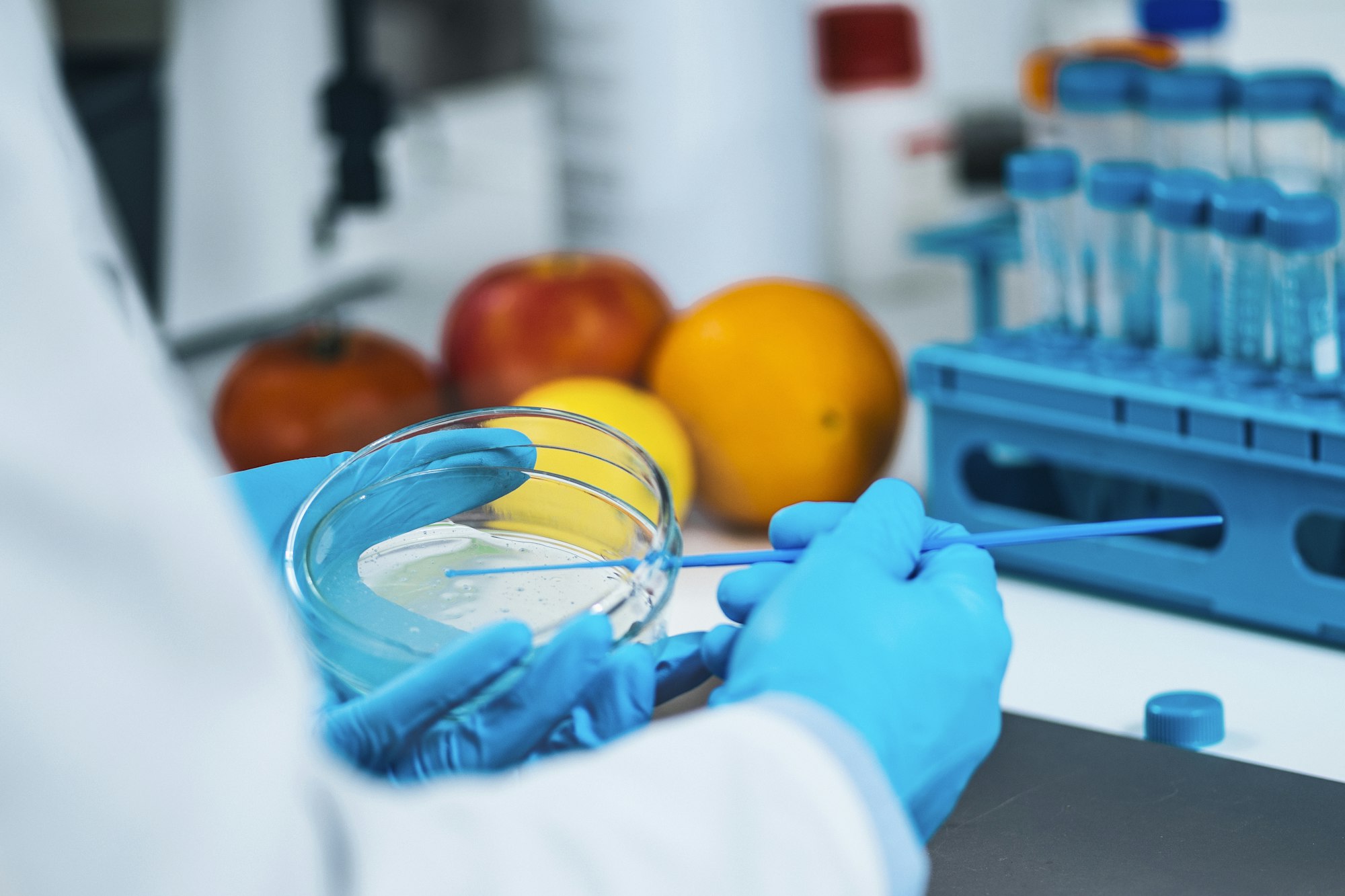 Industria – Testmol